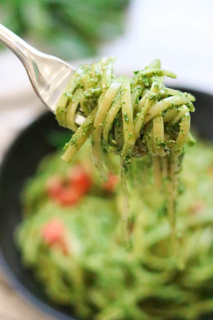 Perfect Vegan Pesto - Vegan Blueberry