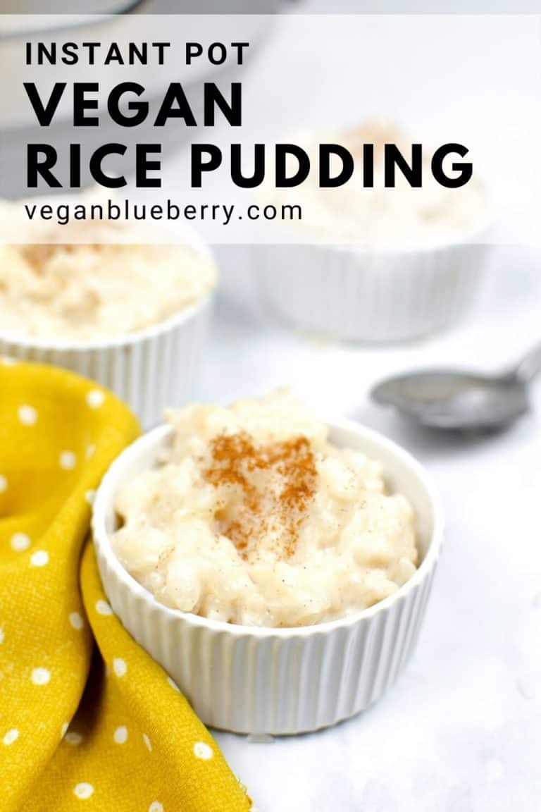 Instant Pot Vegan Cinnamon Rice Pudding - Vegan Blueberry